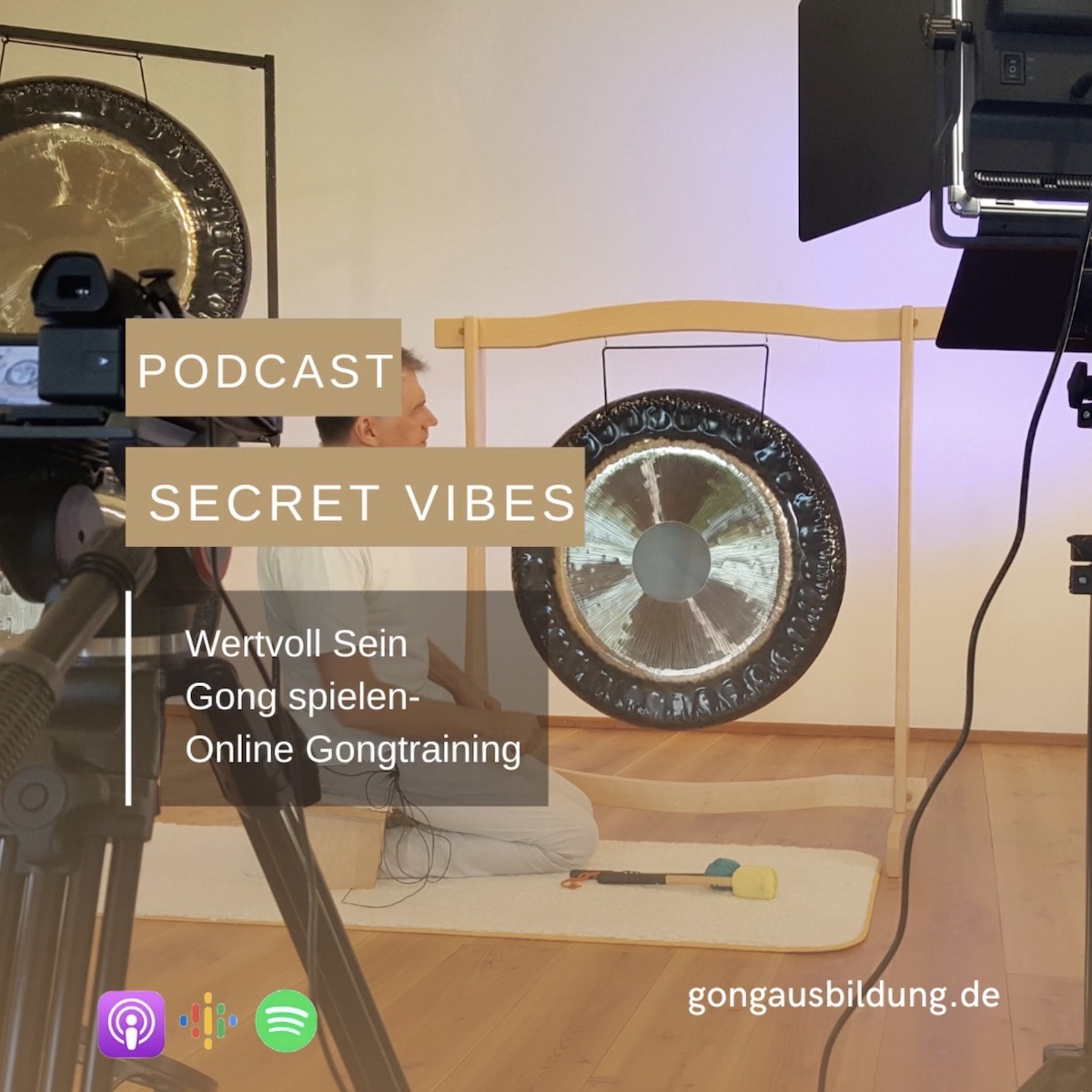 Podcast Secret Vibes - Alexander Renner